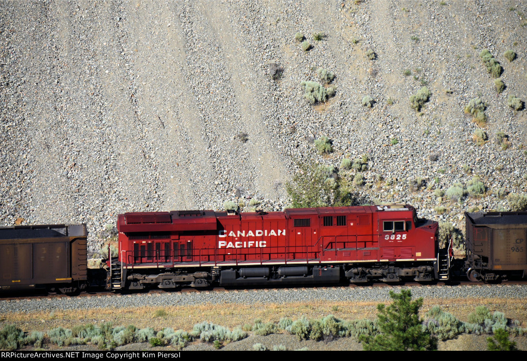 CP 8825 Mid-Train DPU